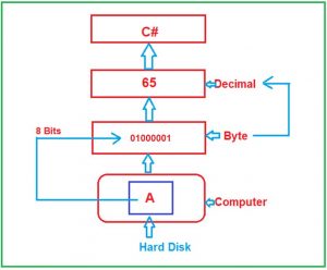 Data Types in C# with Examples - Dot Net Tutorials