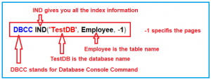 How SQL Server Store and Manages Data Internally - Dot Net Tutorials