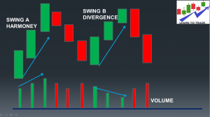Volume Price Action Analysis: Understanding Market Structure