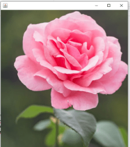 Working with Images Menus and files in Java Swings - Dot Net Tutorials