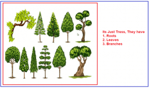 Abstract Data Type (ADT) in Detail - Dot Net Tutorials