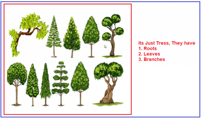 Abstract Data Type Adt In Detail Dot Net Tutorials