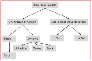 Physical vs Logical Data Structure - Dot Net Tutorials