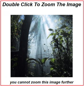 Binding Event Handlers using jQuery on Method - Dot Net Tutorials