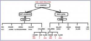 Data Models in DBMS with Examples - Dot Net Tutorials