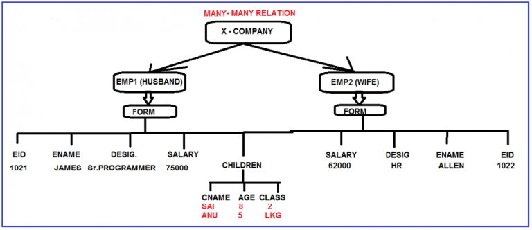 Data Models in DBMS with Examples - Dot Net Tutorials