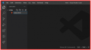 How to Download and Install Visual Studio Code - Dot Net Tutorials