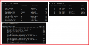 Left Outer Join in Oracle with Examples - Dot Net Tutorials