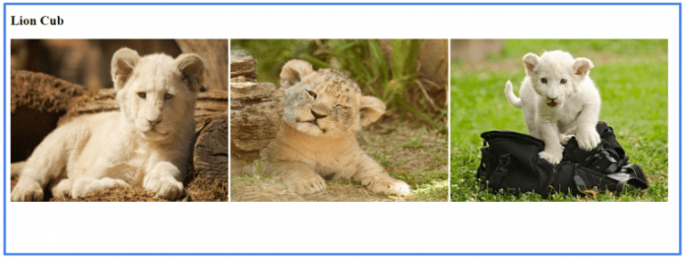 Images in HTML with Examples - Dot Net Tutorials