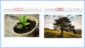 Picture Element in HTML with Examples - Dot Net Tutorials