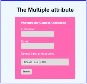 Input Attributes in Html with Examples - Dot Net Tutorials