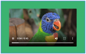 Videos in HTML with Examples - Dot Net Tutorials