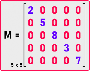 Diagonal Matrix in C and C++ Language - Dot Net Tutorials