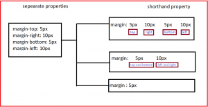 CSS Box Model with Examples - Dot Net Tutorials