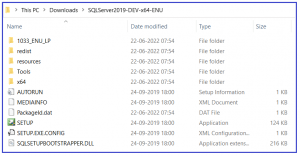 How to Download and Install SQL Server - Dot Net Tutorials