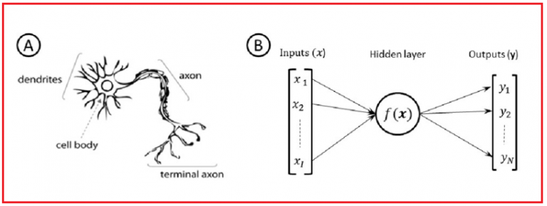 Architecture of Artificial Neural Network - Dot Net Tutorials