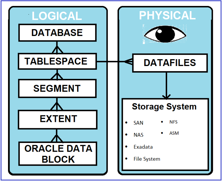 Oracle Database Storage Structures Dot Net Tutorials