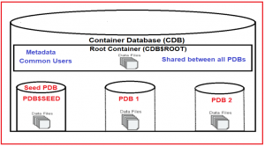 Oracle Multitenant Architecture - Dot Net Tutorials