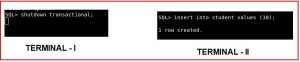 How to Shutdown Oracle Database - Dot Net Tutorials