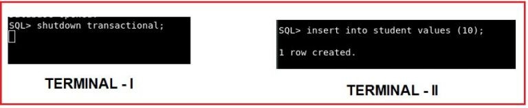 How To Shutdown Oracle Database Dot Net Tutorials