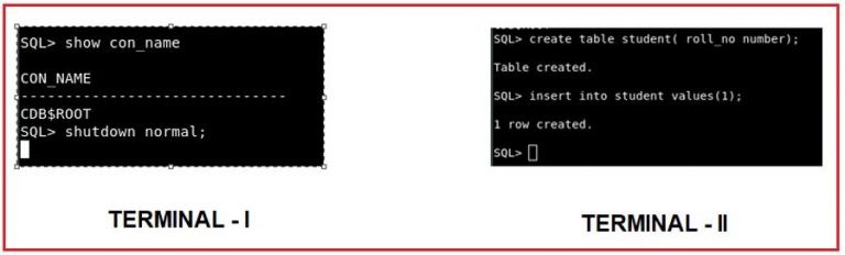 How To Shutdown Oracle Database Dot Net Tutorials 9542