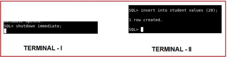 How To Shutdown Oracle Database Dot Net Tutorials 2783