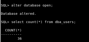 How to Startup the Oracle Database - Dot Net Tutorials