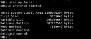 How to Startup the Oracle Database - Dot Net Tutorials