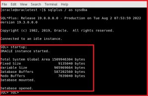 How to Startup the Oracle Database - Dot Net Tutorials