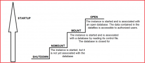 How to Startup the Oracle Database - Dot Net Tutorials
