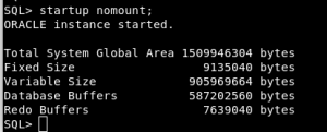 How to Startup the Oracle Database - Dot Net Tutorials