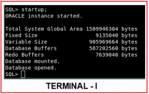 How to Shutdown Oracle Database - Dot Net Tutorials
