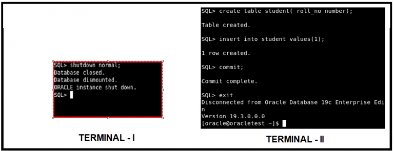 How to Shutdown Oracle Database - Dot Net Tutorials