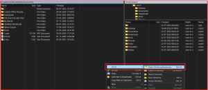 Installing Winscp Software and Transferring Files - Dot Net Tutorials