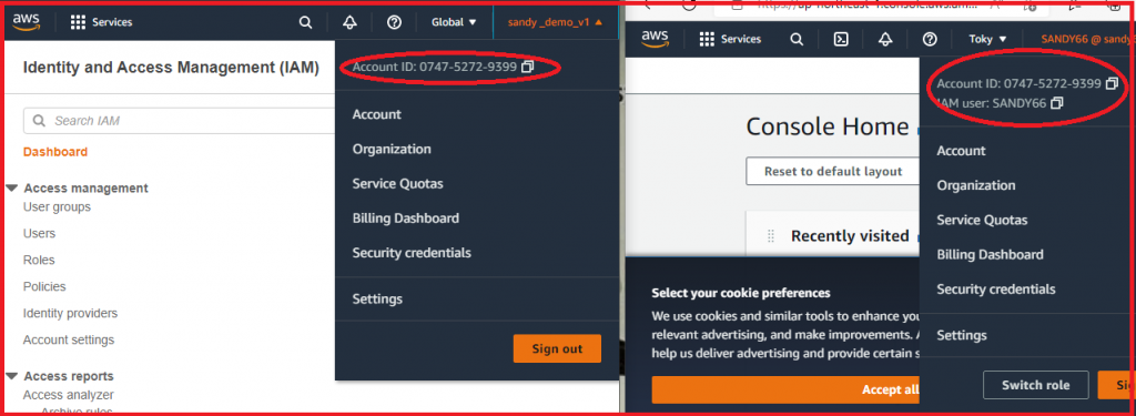 IAM Users and Groups in AWS - Dot Net Tutorials