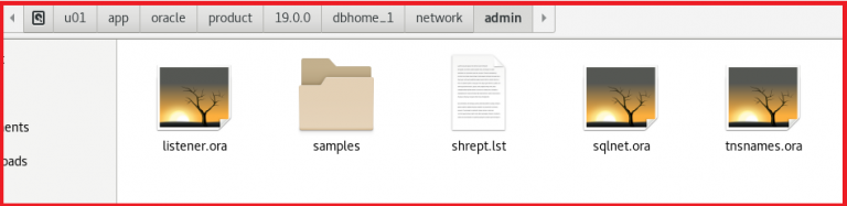 Starting And Stopping Listeners In Oracle Dot Net Tutorials