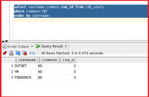 Common Users vs Local Users in Oracle - Dot Net Tutorials