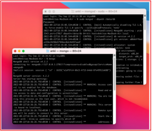 How to Install MongoDB on macOS - Dot Net Tutorials