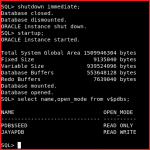 Pluggable Database Save State in Oracle - Dot Net Tutorials