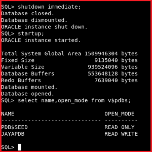 Pluggable Database Save State in Oracle - Dot Net Tutorials