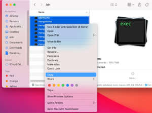 How to Install MongoImport and MongoExport - Dot Net Tutorials