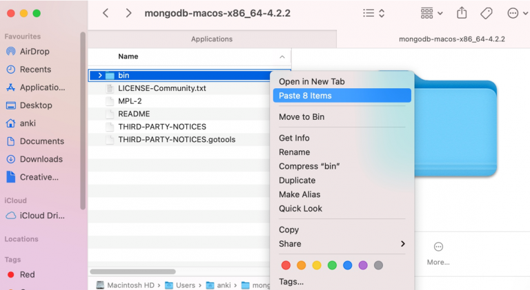 How To Install Mongoimport And Mongoexport Dot Net Tutorials