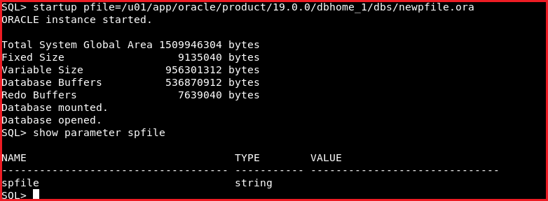 Non Default Name For Pfile In Oracle Dot Net Tutorials