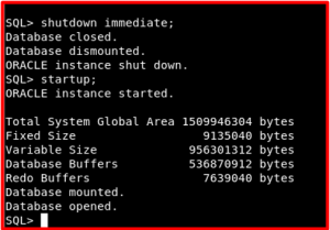 Alter System Examples in Oracle - Dot Net Tutorials