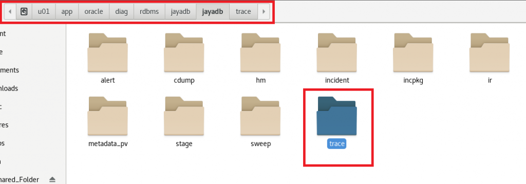 Trace Files Purging in Oracle with Examples - Dot Net Tutorials