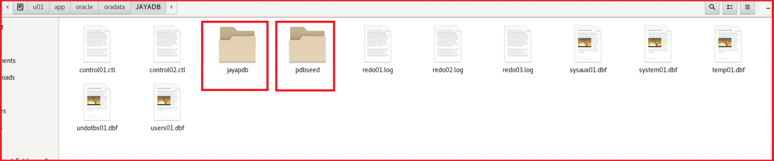 Creating Pluggable Database from SEED - Dot Net Tutorials
