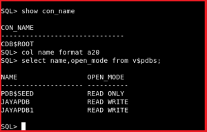 Connection to Pluggable Database in Oracle - Dot Net Tutorials