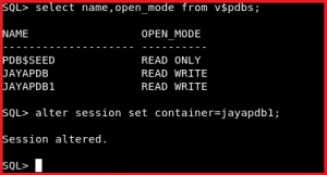Connection to Pluggable Database in Oracle - Dot Net Tutorials