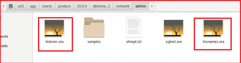 Default Listener Examples in Oracle - Dot Net Tutorials