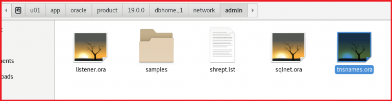 Dynamic Listener In Oracle With Examples Dot Net Tutorials